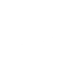 Search Results – Spiderz Sports